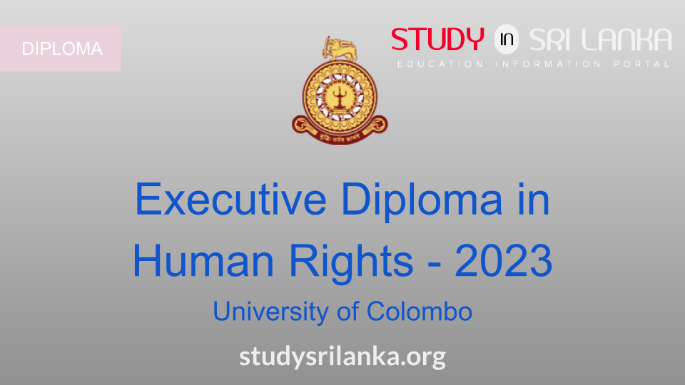 Executive Diploma In Human Rights Uoc 2023