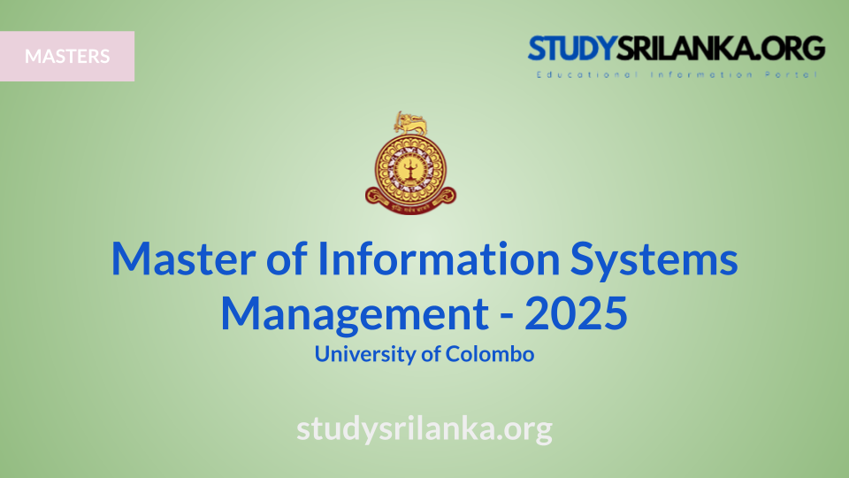Master of Information Systems Management - UOC - 2025
